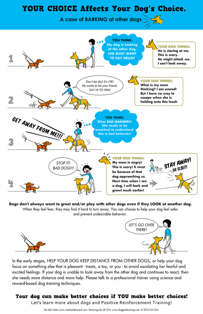 4 Great Visuals for Understanding and Managing Reactivity – Suburban ...